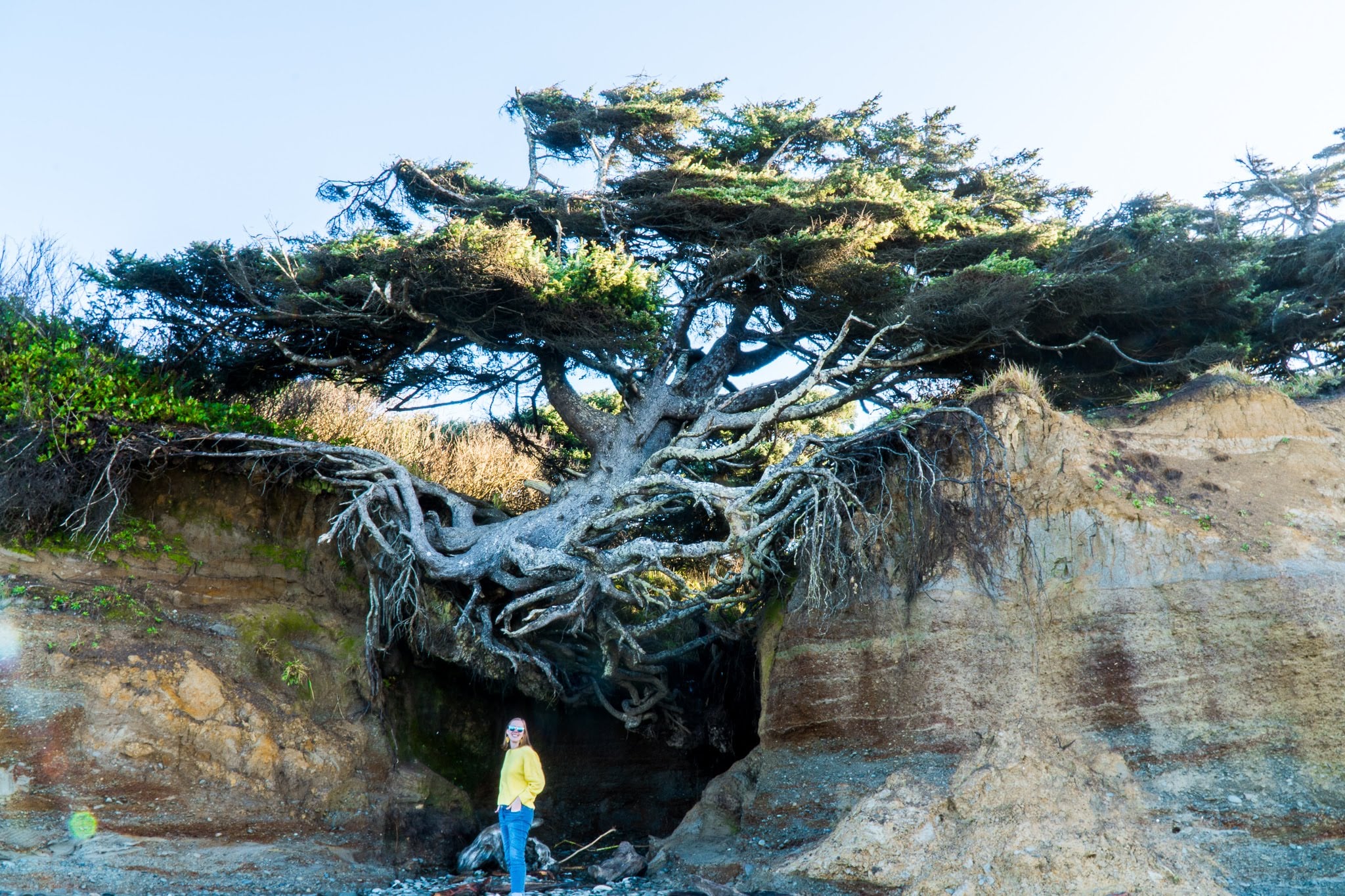 My Favorite Olympic Coast Beaches near Kalaloch - Travelffeine