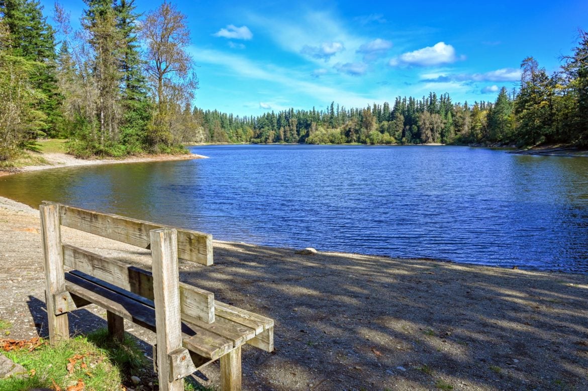 Nolte State Park: A Pacific Northwest Secret - Travelffeine
