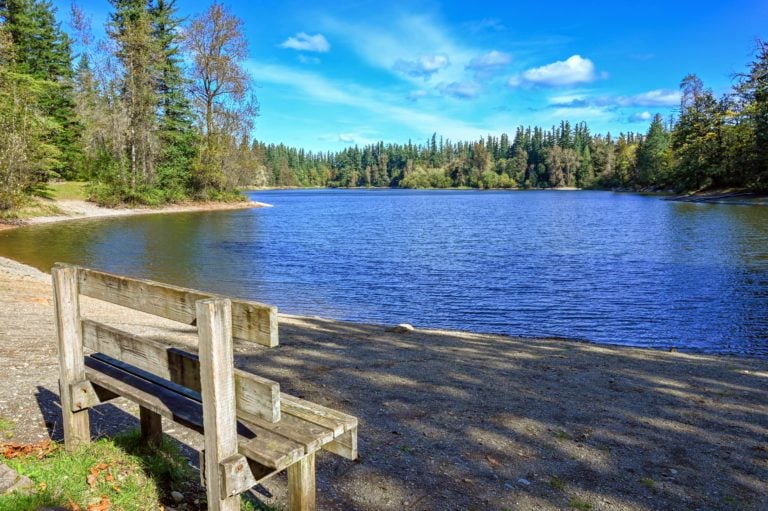 Nolte State Park: A Pacific Northwest Secret - Travelffeine