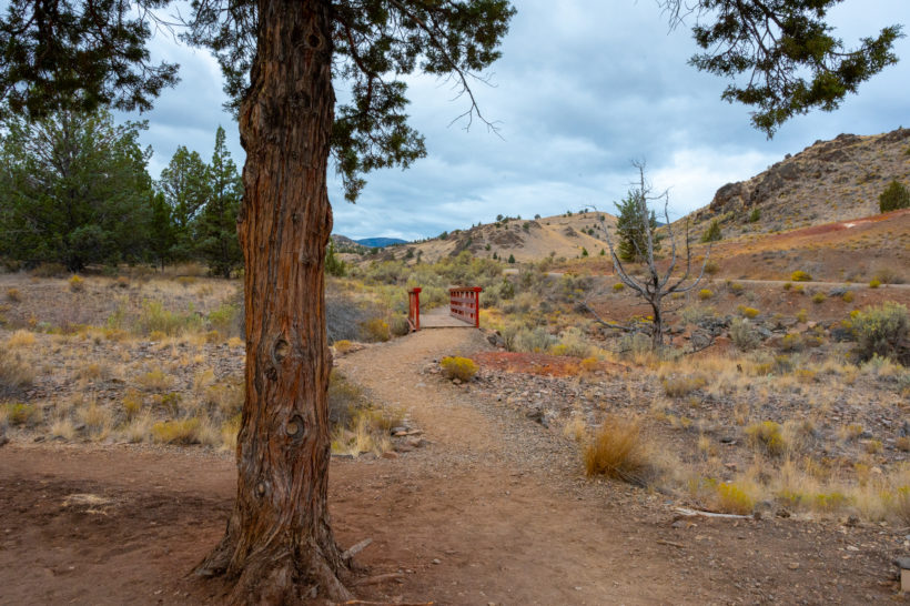 Visiting Oregon's Unique Painted Hills - Travelffeine