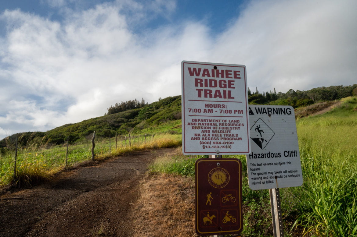 Waihee Ridge Trail: A Local Favorite on Maui - Travelffeine
