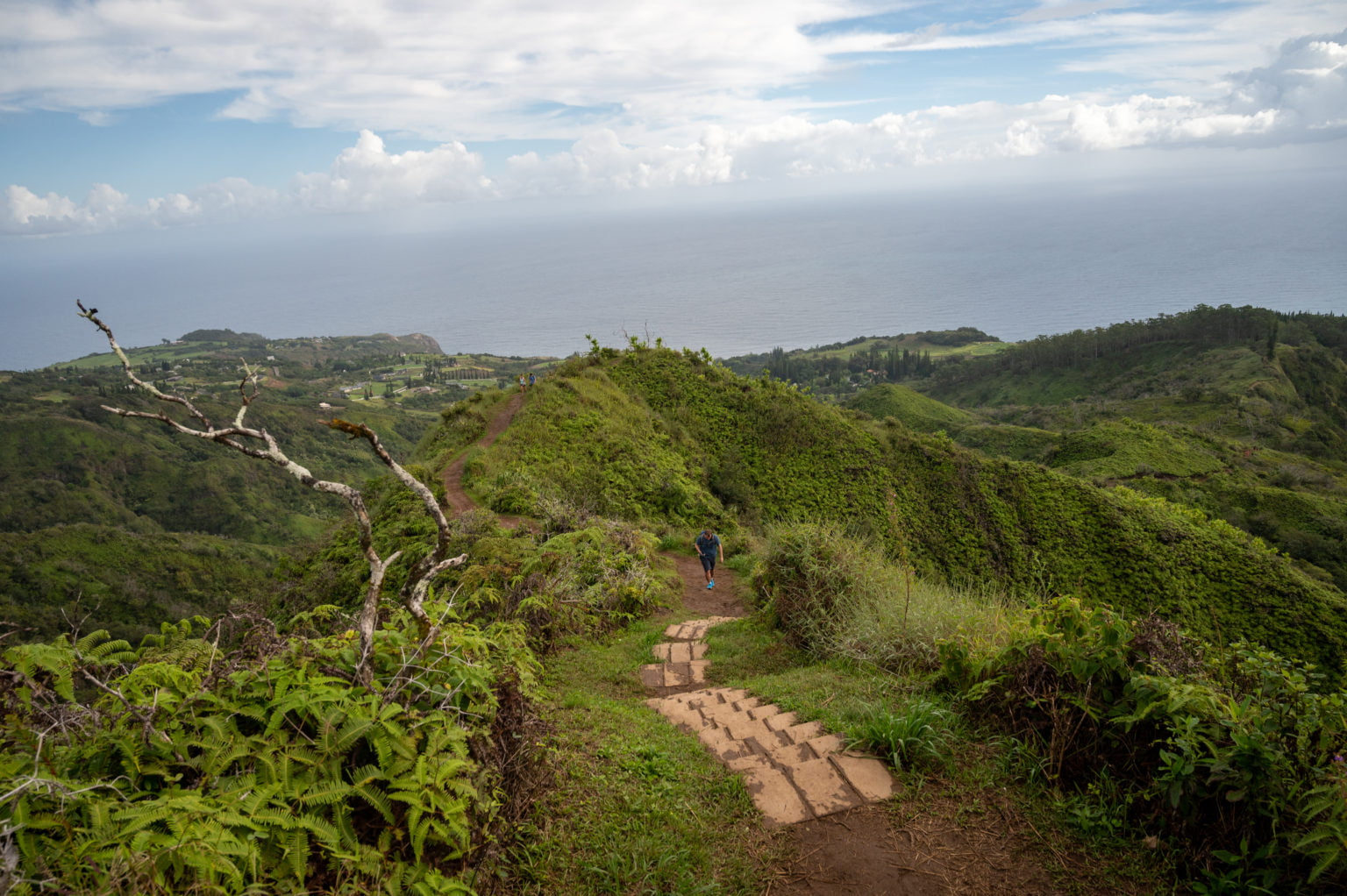 Waihee Ridge Trail: A Local Favorite on Maui - Travelffeine